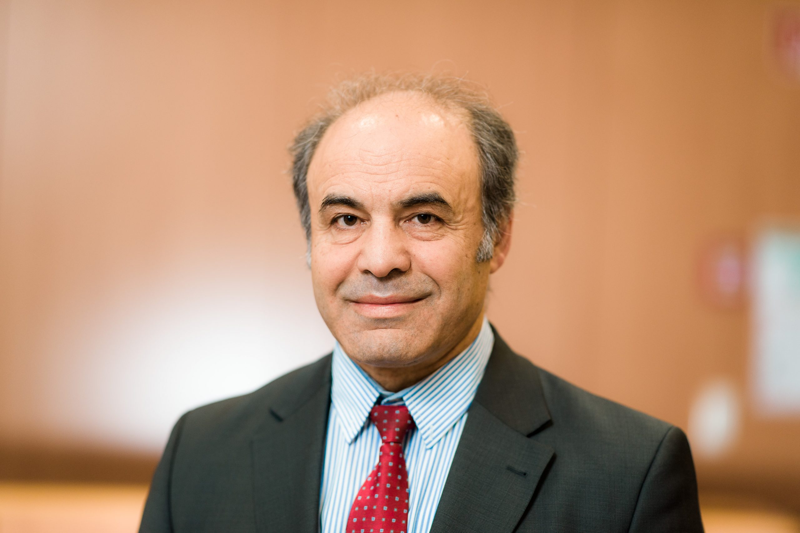 Türkische Identitäten in Deutschland – Osnabrücker Friedensgespräche